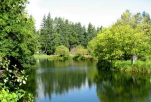 About – Lake Jane Estates